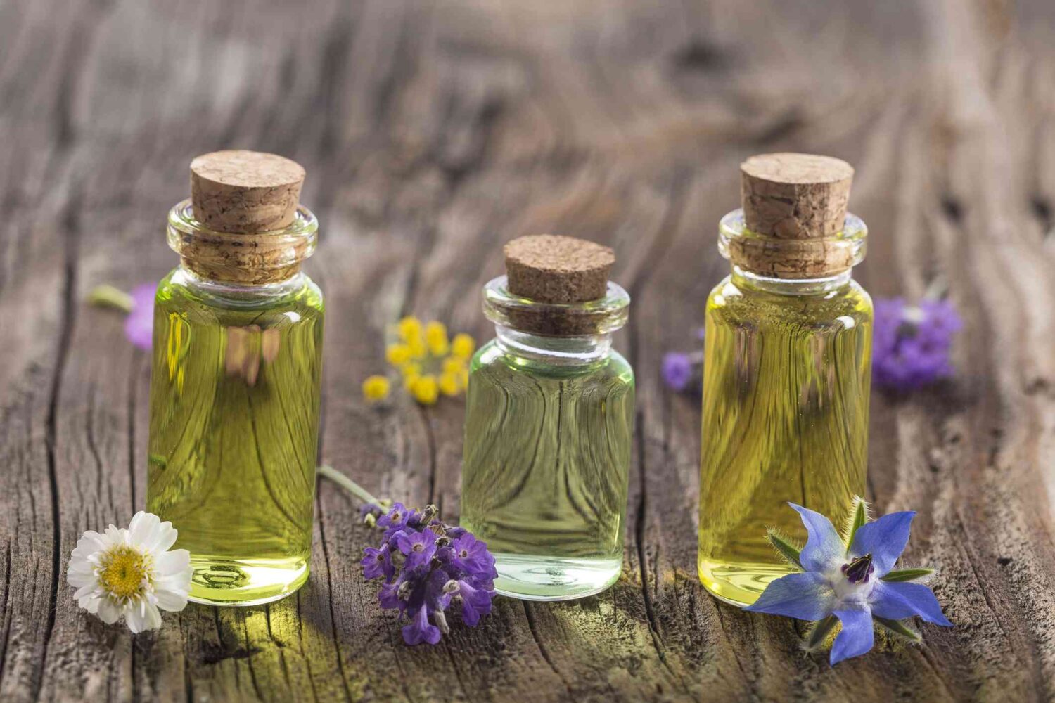 How Are Essential Oils Made? - Honestly Fit