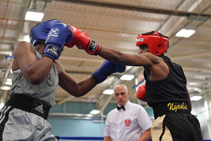 Undefeated Boxers: Conquering the Ring with Plant-Powered Victories ...