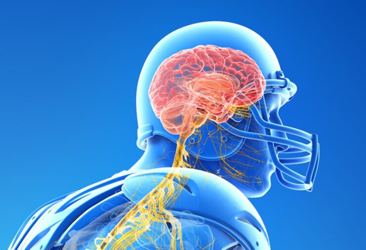 The Invisible Injury: A Closer Look at Concussions in Sports - Honestly Fit